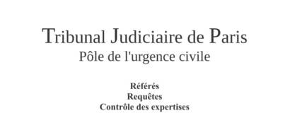 La procédure au fond devant le juge de l'exécution (+modèle d ...